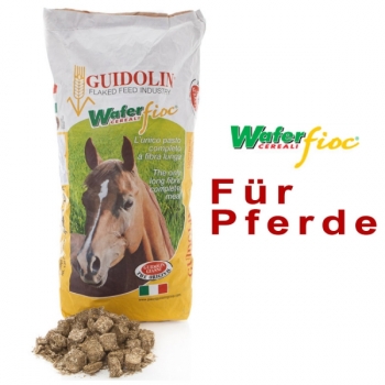 RE WAFER FIOC - RE WAFER FIOC